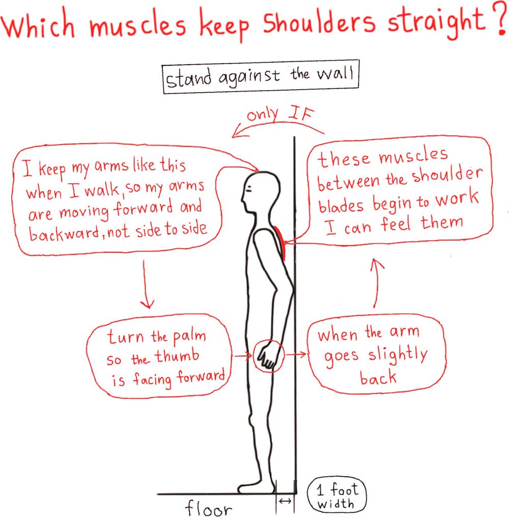 To fix the posture